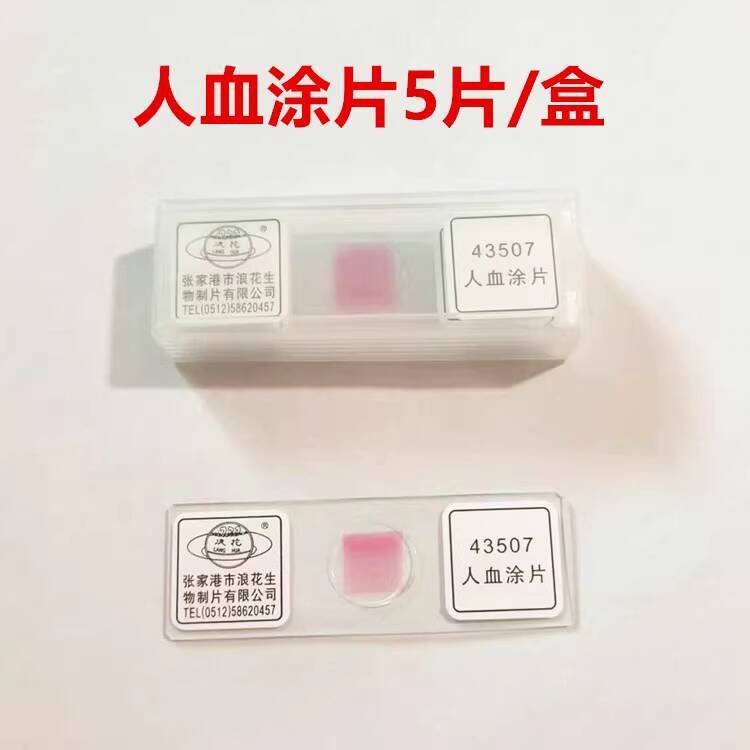 43507 Human Blood Smear Human Blood Mounted Slide Biological Experiment ...