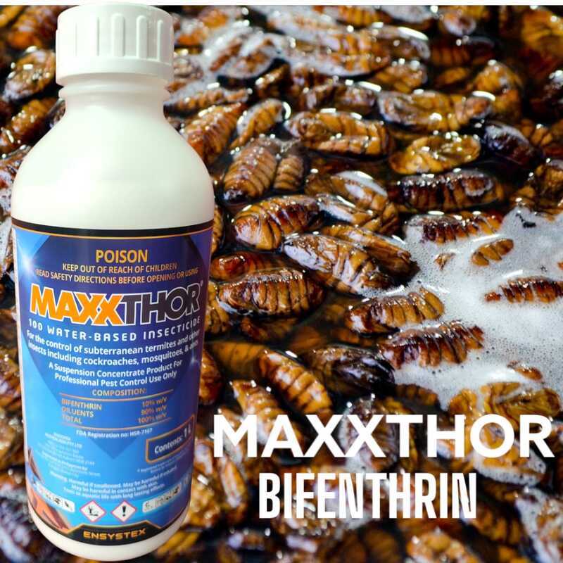 Maxxthor Dual Insecticide Termiticide for soil Poisoning General Pest ...