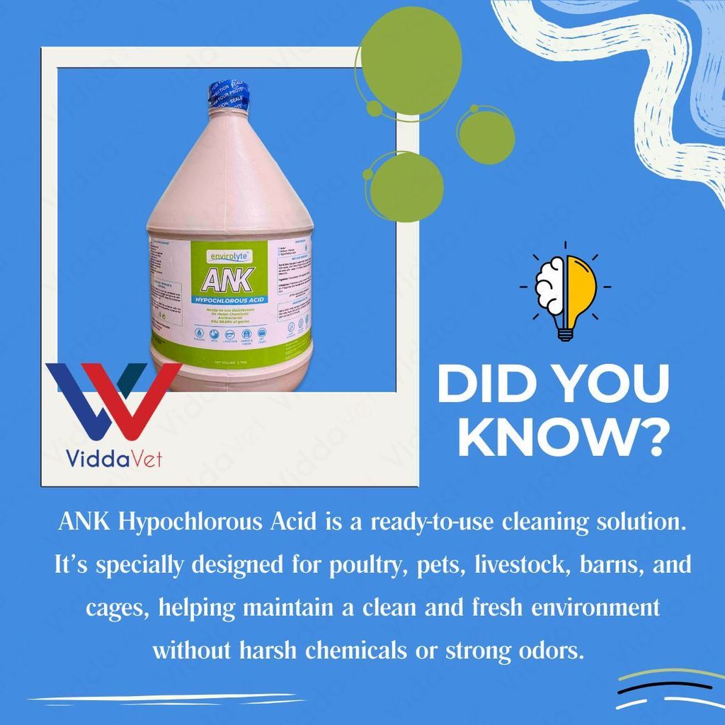 ANK Hypochlorous Acid for Farm Hygiene and Animal Housing Care | Shopee ...