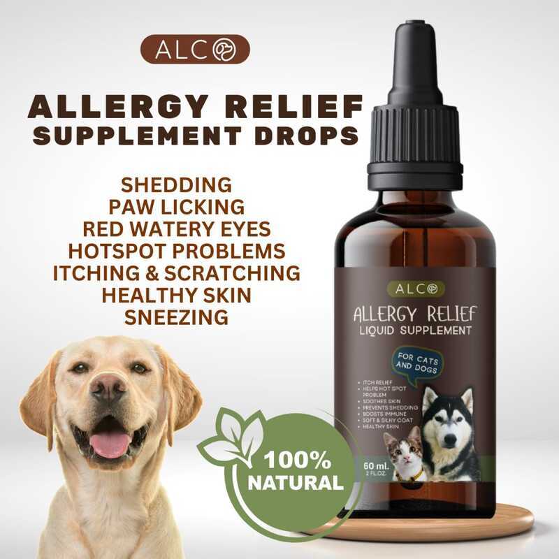 Alco Allergy Relief Drops For Cats And Dogs 60Ml C05 | Shopee Philippines
