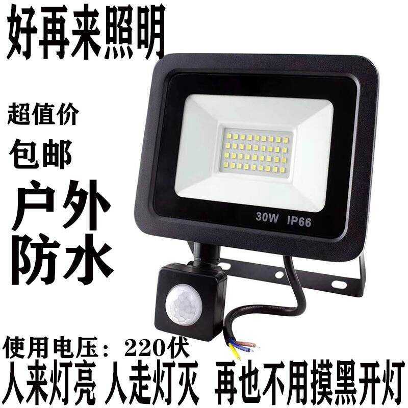 LED Floodlight Infrared Human Body Sensor Surveillance Garage Outdoor ...