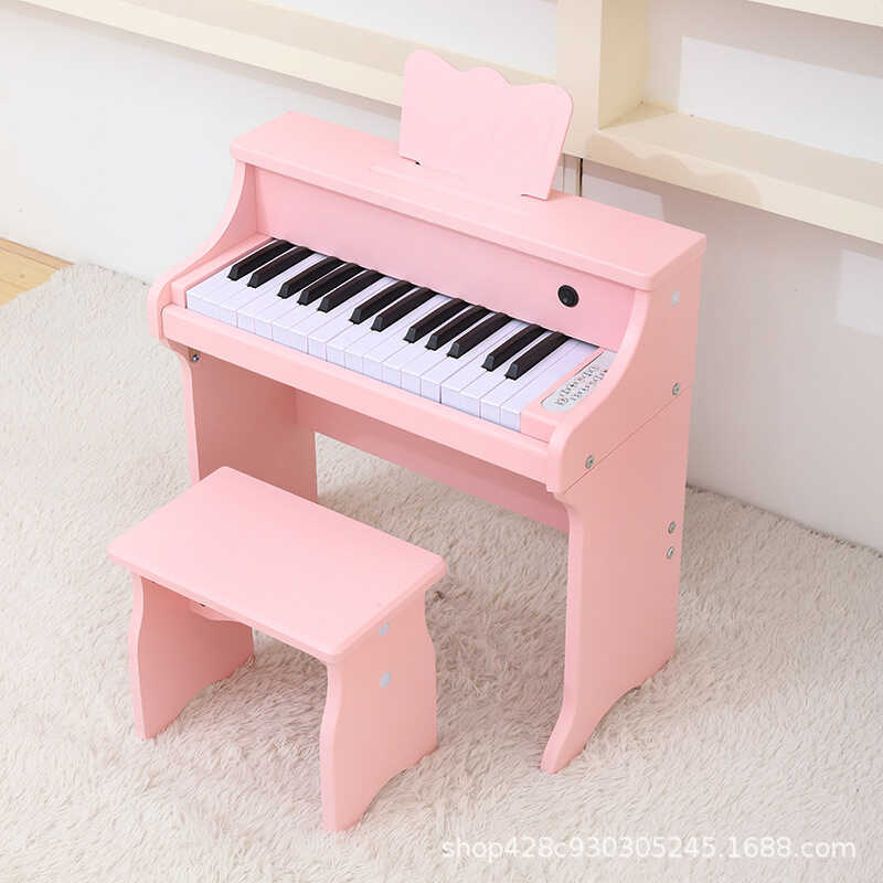 Small Piano Educational Rechargeable Princess Upright Beginner ...
