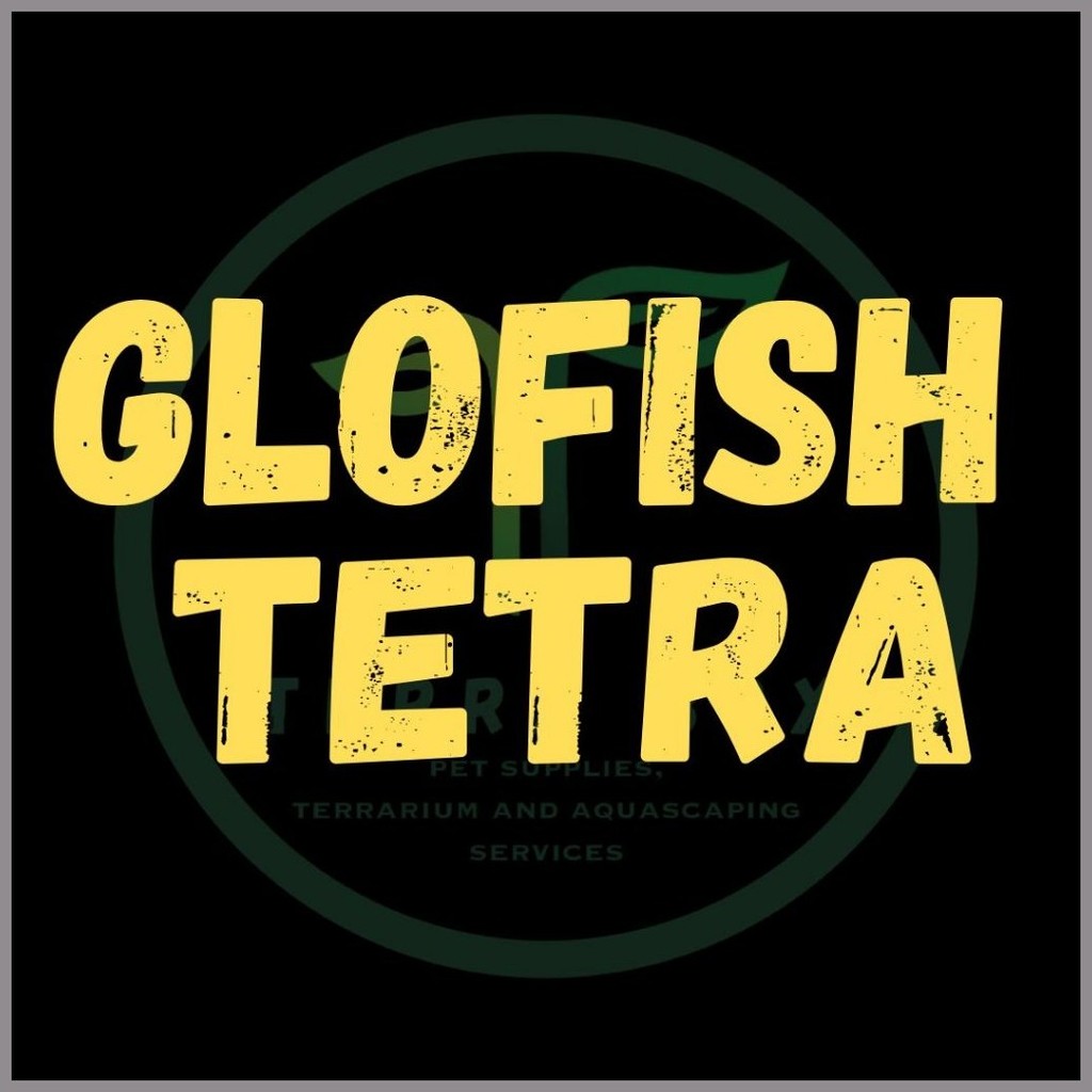 AQUARIUM DECOR FOR GLOFISH TETRA (CHECK VARIATION AND DESCRIPTION ...