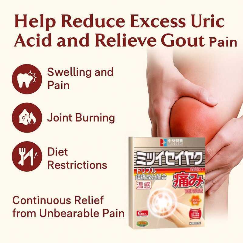 Entilation Buster Sour Wind Plaster Imported From Japan Gout Relief ...