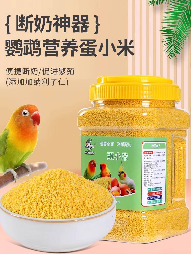Budgerigar Bird Food Feed Cockatiel Lovebird Parakeet High Nutrition ...