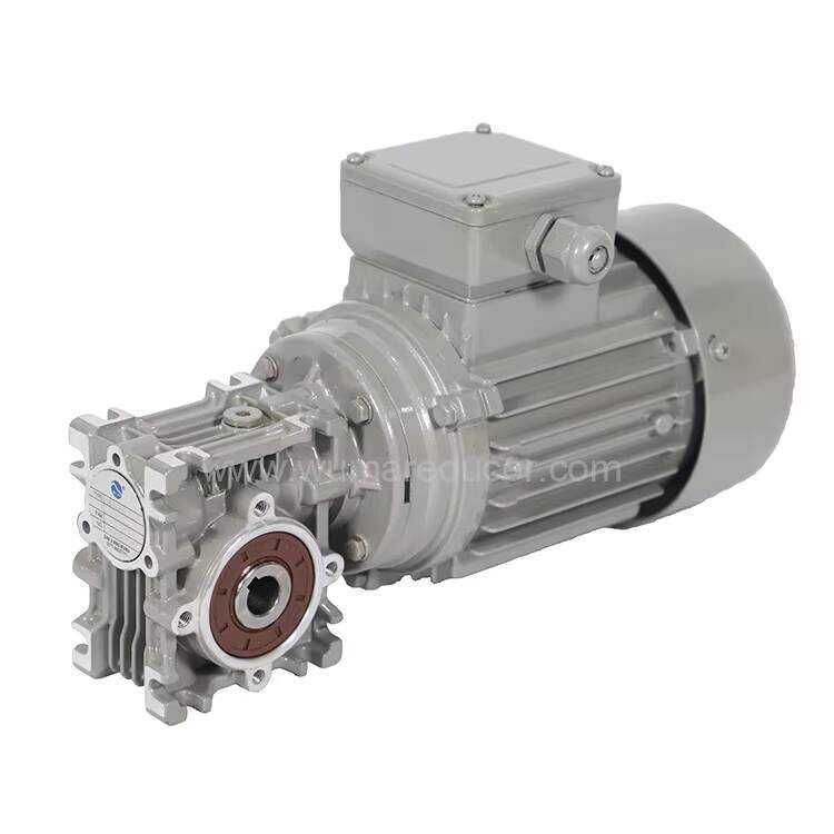 Low Noise Electric Motor RV Series Gear Speed Reducer Worm Gear Sets ...