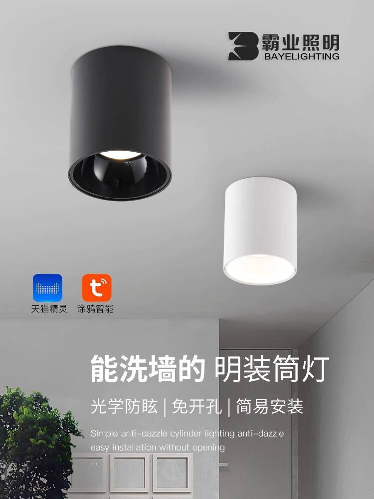 Surface Mounted Downlight Large Round Deep Cup Anti-Glare Ceiling ...