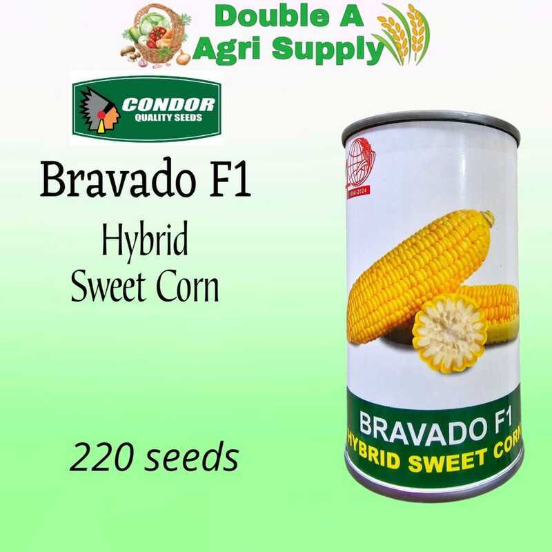 Bravado F1 Hybrid Sweet Corn Junior Can - Condor Quality Seeds 86F ...