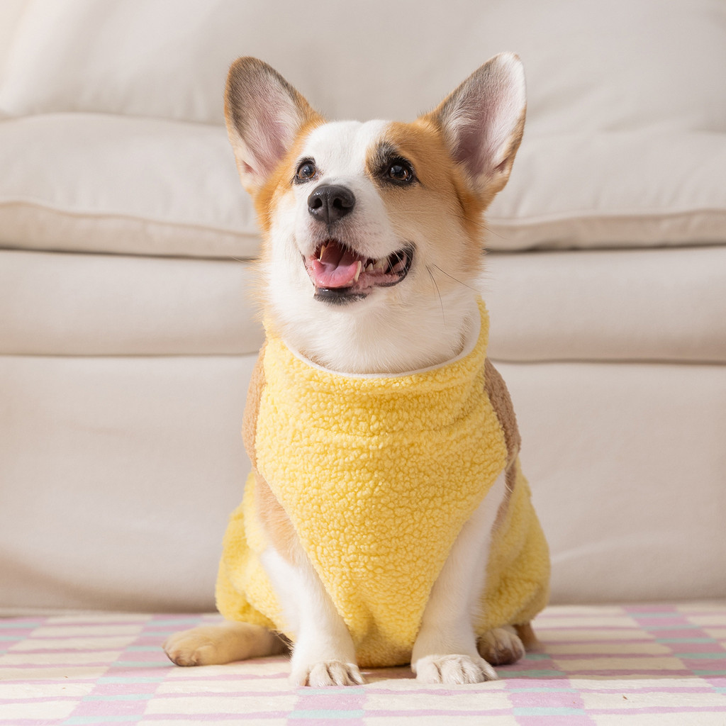 Fashion Dog Outfit Winter Dog Jacket Warm Cat Costume Cute Puppy Vest ...