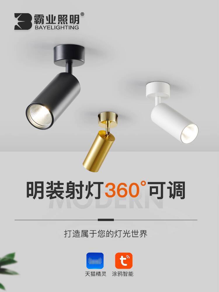 Surface Mounted Spotlight Adjustable Angle Home Background Wall Ceiling ...