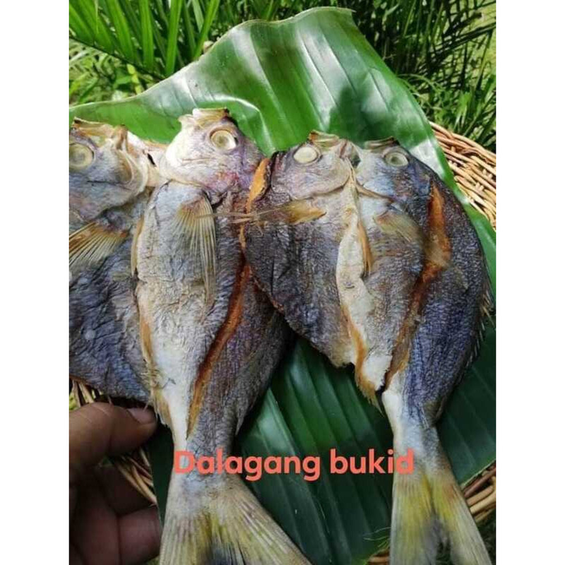 Fish 500G Bukid Fresh Dried Dalagang Bukidfrom Palawan Seafood Dry Fish ...