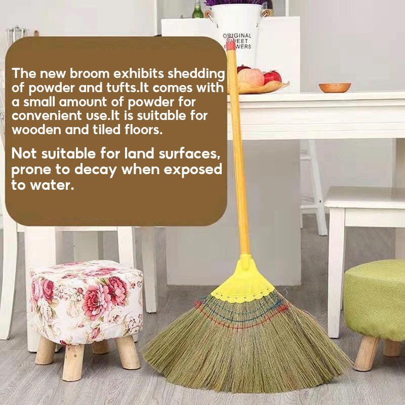 Buy 1 Take 1 Durable Walis Tambo Broom Natural Handmade Detachable ...