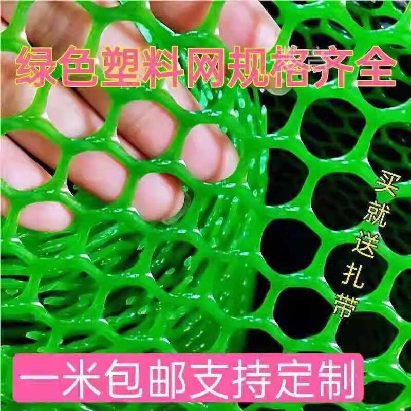 Green Plastic Flat Breeding Mesh for Beekeeping, Silkworm Rearing, Fish ...
