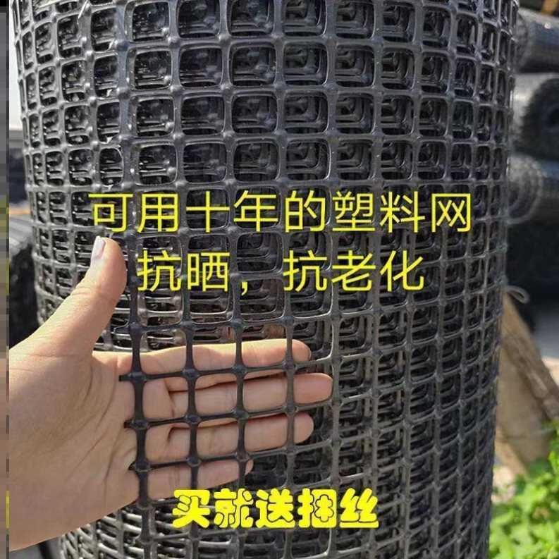 g Chicken Cage Mat Netting Anti-Rat Wire Netting Plastic Netting ...