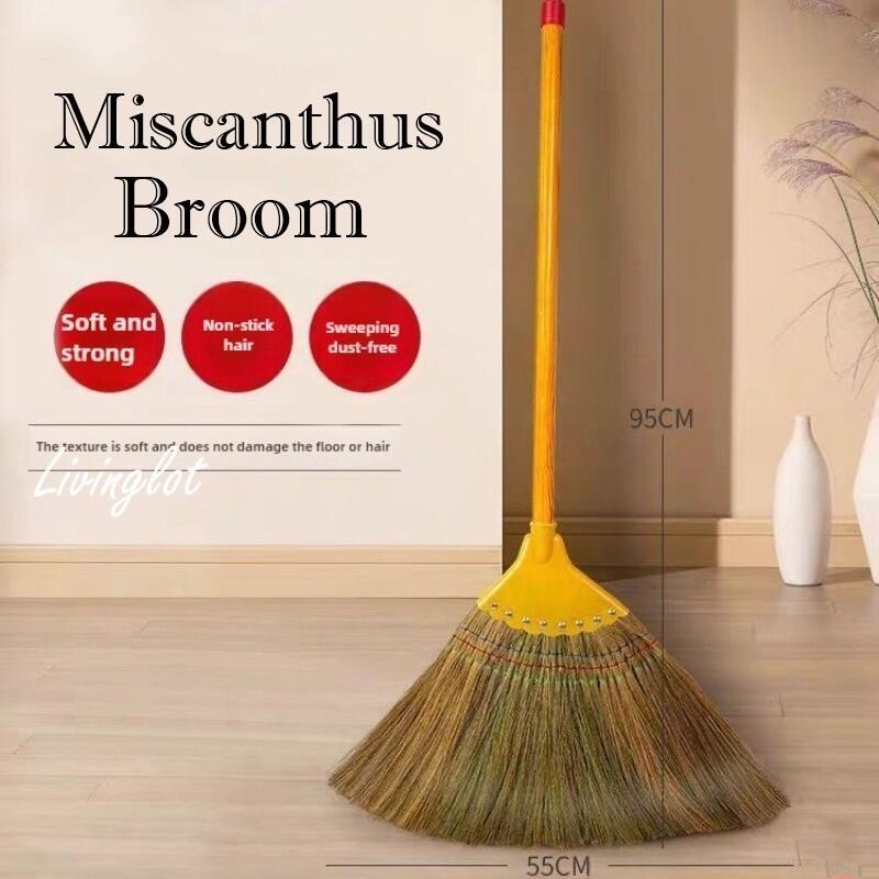 Buy 1 Take 1 Durable Walis Tambo Broom Natural Handmade Detachable ...