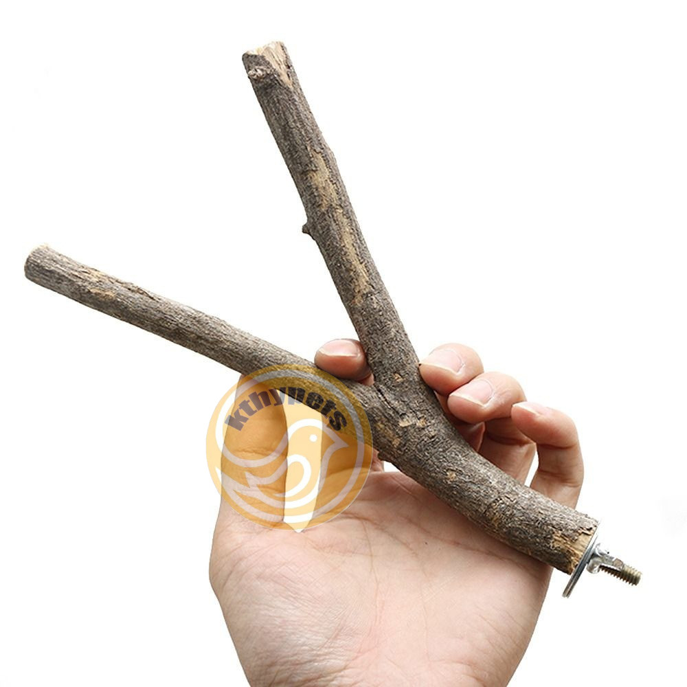 Bird Perch for lovebird Bird perch wood stand Natural wood bird perch ...