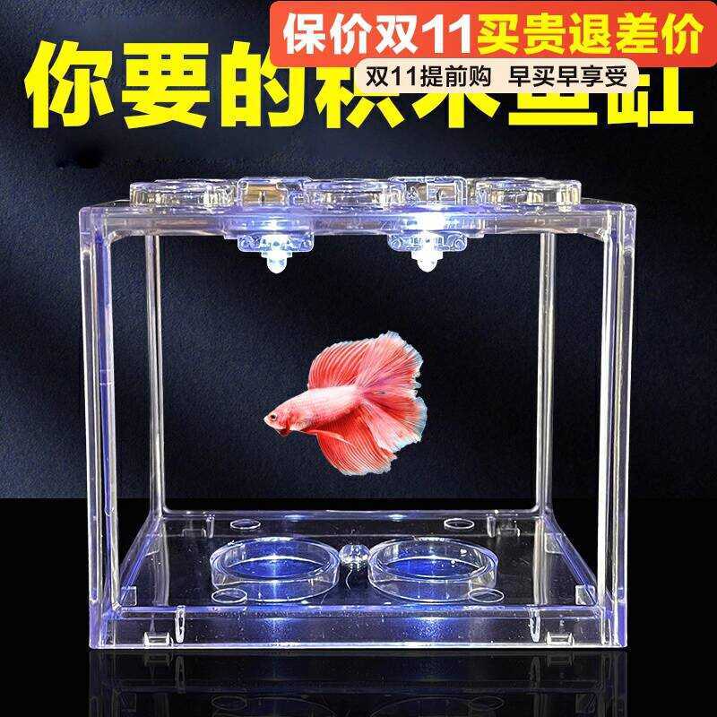 Thai Desktop Small Ultra-clear Betta Internet-famous Night Market ...