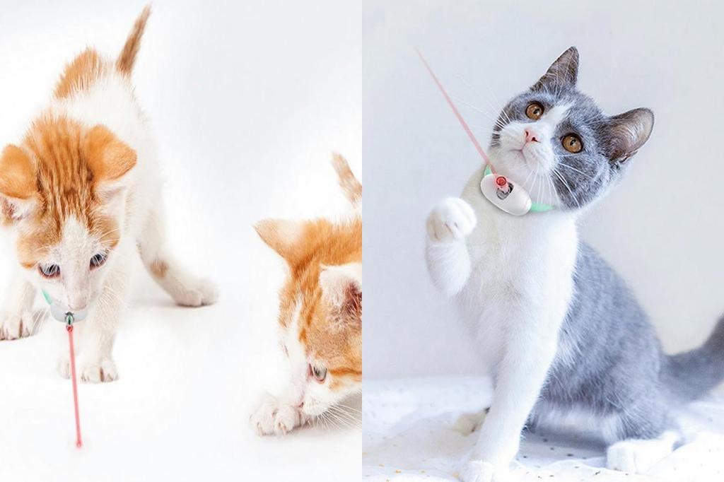 CAE| Cat Lasers Collar Lasers Pointer for Cats 1 or 2 Pcs Cat Collar ...