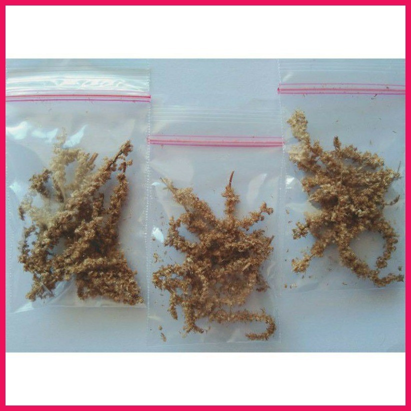 § ☸ Spinach (Kulitis) Seeds | Shopee Philippines