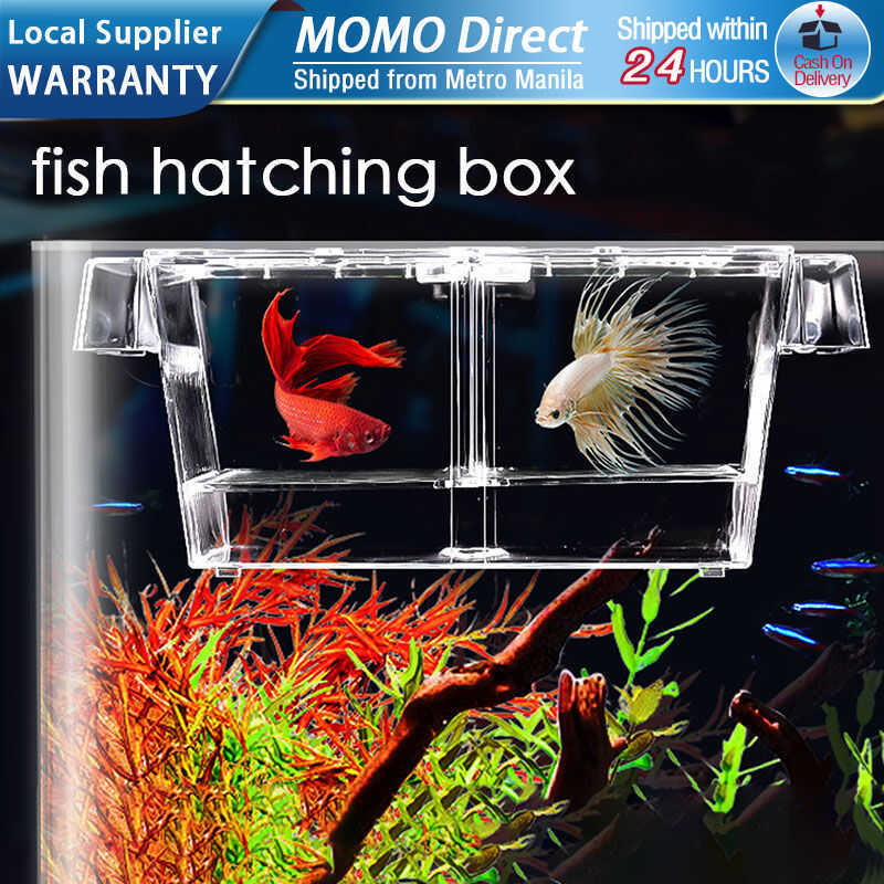 Fry Isolation Small Hatch Aquarium Incubator Fish Tank Breeding Box 338 ...