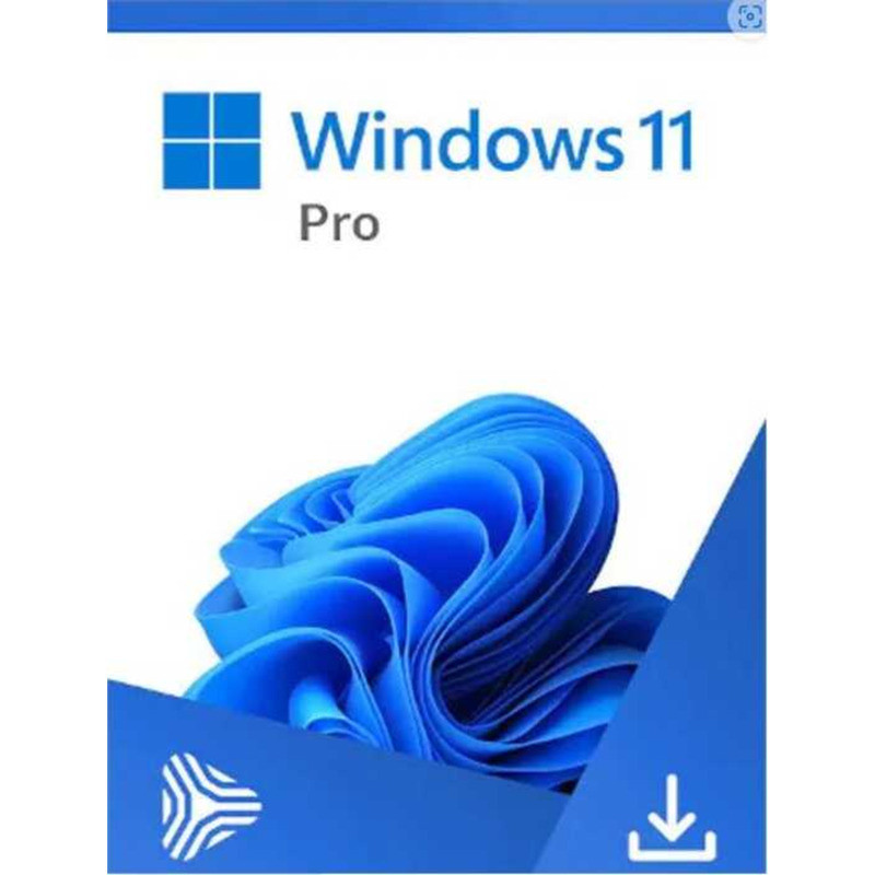 [ Lifetime Activation]Windows 10/11 Pro/Home Product Key/ Activation ...