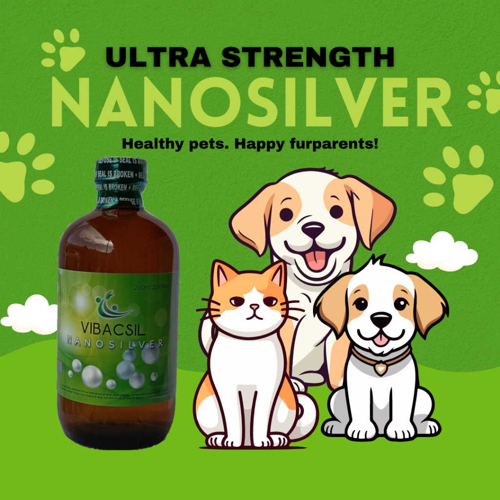 500ml 20PPM *** NanoSilver for Dogs, NanoSilver for Cats, Nano Silver ...
