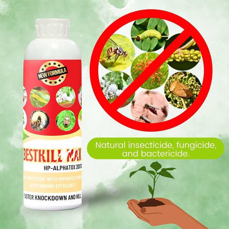 4C47 8609 BESTKILL MAX Organic Insecticide & Pesticide Spray For Fast ...