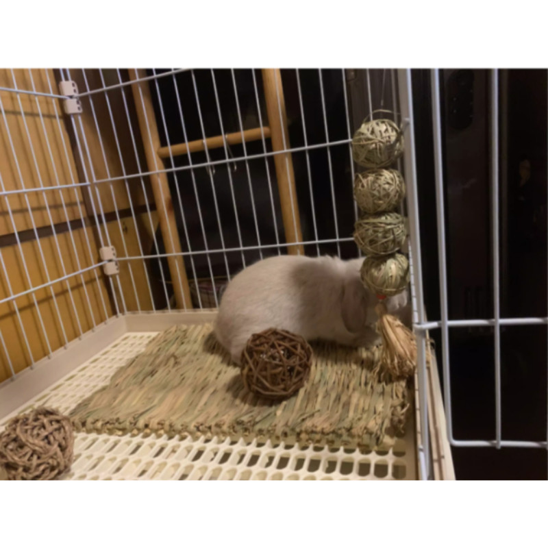 Rabbit Hamster Guinea Pig Molar Chew Toy - Water Grass Rattan Ball ...