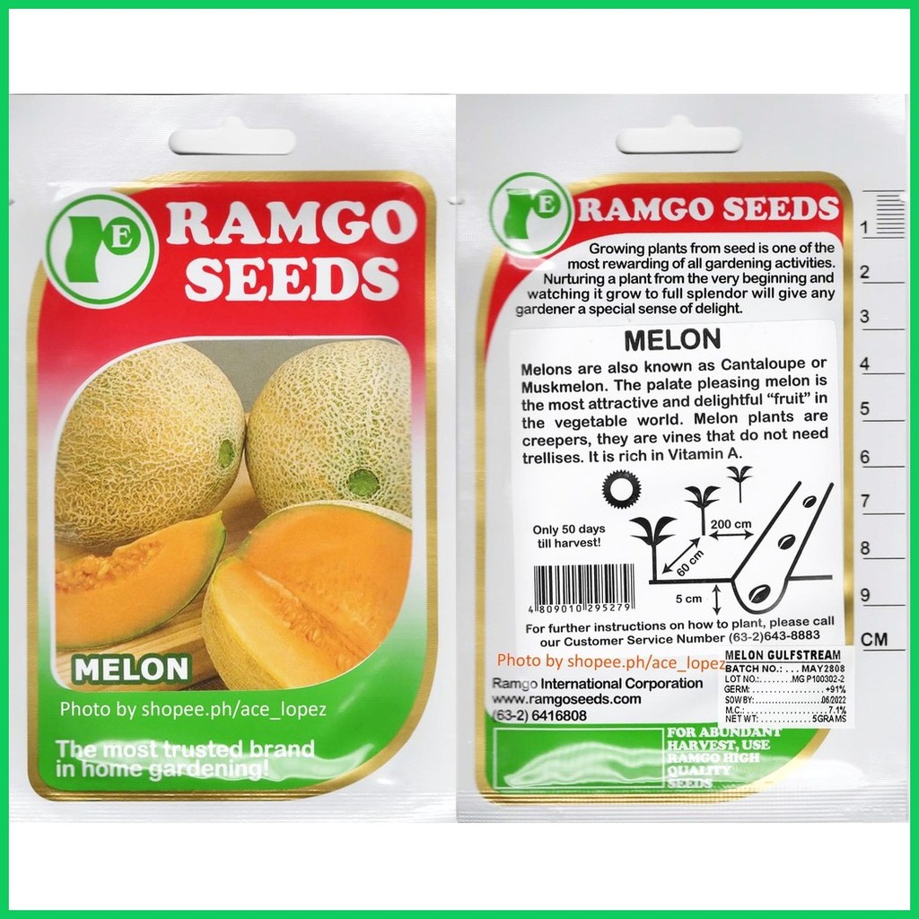 ⚾︎ ☸ Ramgo Seeds Sold Per Pack Per Variety - Melon Melon Honey Dew ...