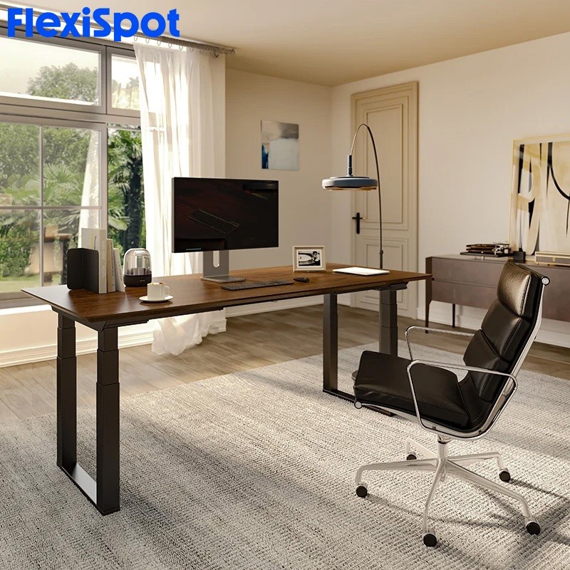 FlexiSpot E7Q Odin 4-Leg Standing Desk with 4-Motor Design Frame Only ...