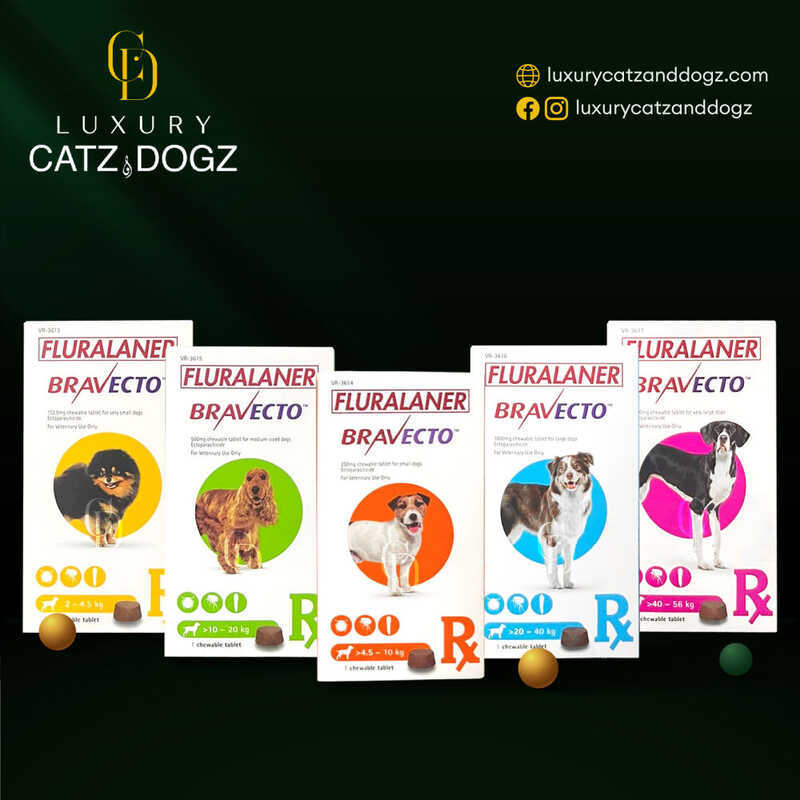 3A44 Bravecto Anti Tick And Flea For Dogs With Sticker I Official PH ...