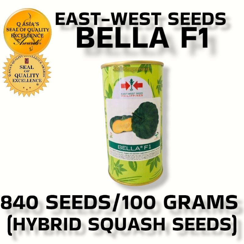 BELLA F1 (100GRAMS OR 840 SEEDS) HYBRID CALABASA BY EAST WEST SEEDS ...