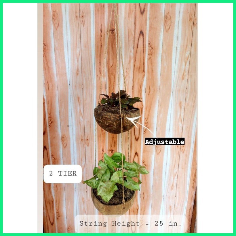 Hanging Pot/ Coco pot/ Coconut Shell | Shopee Philippines