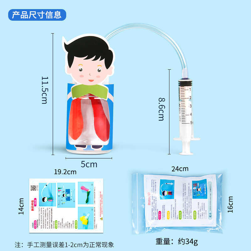Science Experiment Kindergarten Diaphragm Muscle Movement Model ...
