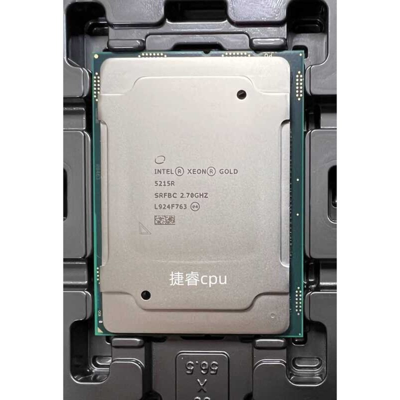 INTEL Xeon Gold 5215L 2.5G 10-Core 20-Thread Genuine Version LGA3647 ...