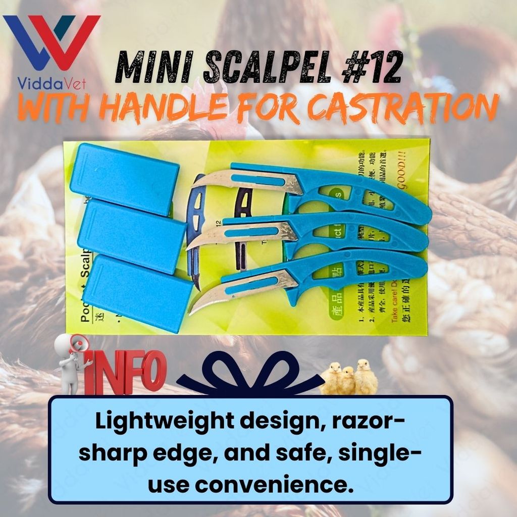 Mini Scalpel Number 12 with Handle 3pcs per Pack for Livestock Tasks ...