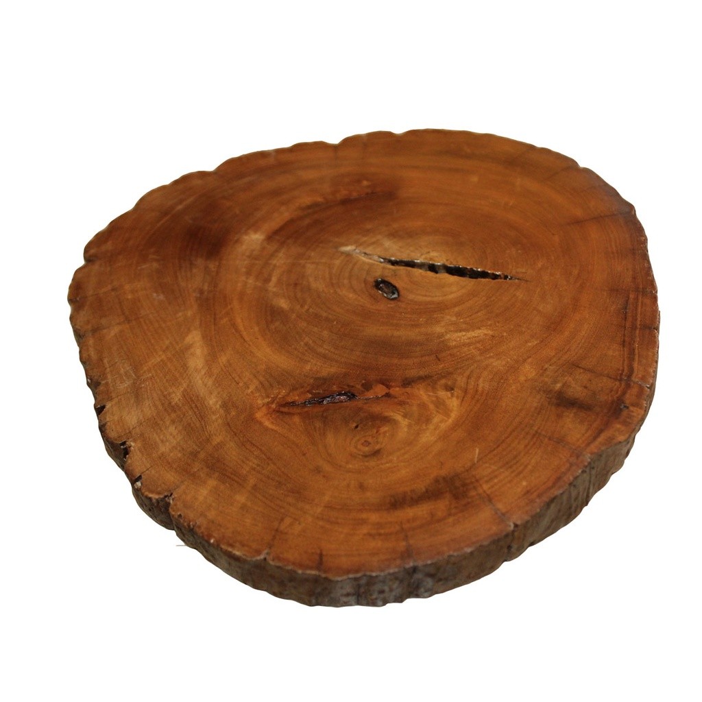 4 pcs Quality Hard Wood Molave Slice Coaster - Antique Live Edges - w ...