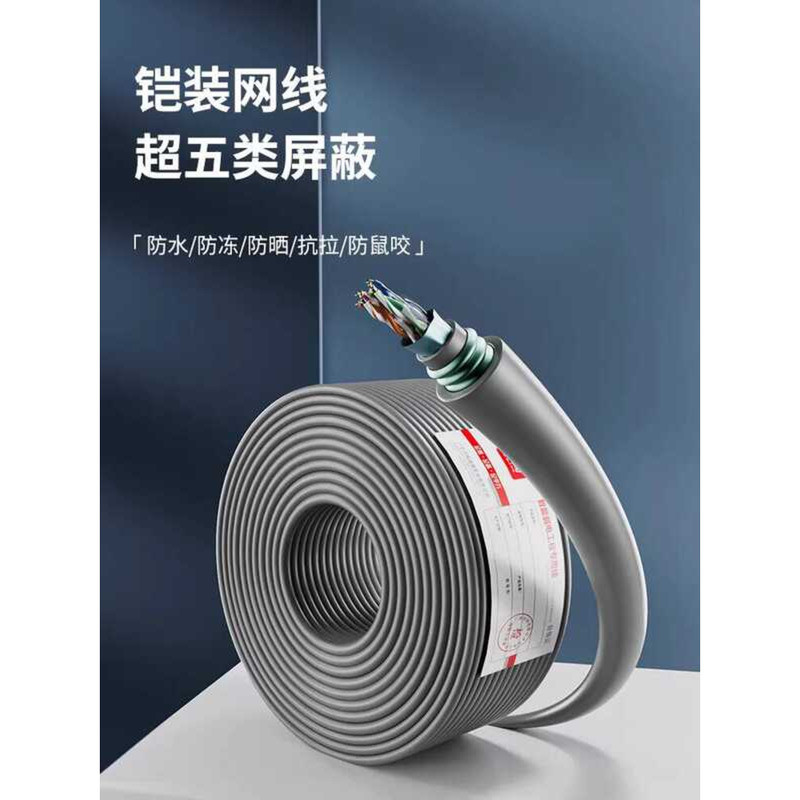 Anti-Rat Bite Shielded Cat5e Cat6 Armored Network Broadband Cable ...