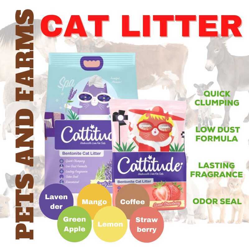 CATTITUDE PREMIUM BENTONITE CAT LITTER 10 LITERS Dfc | Shopee Philippines