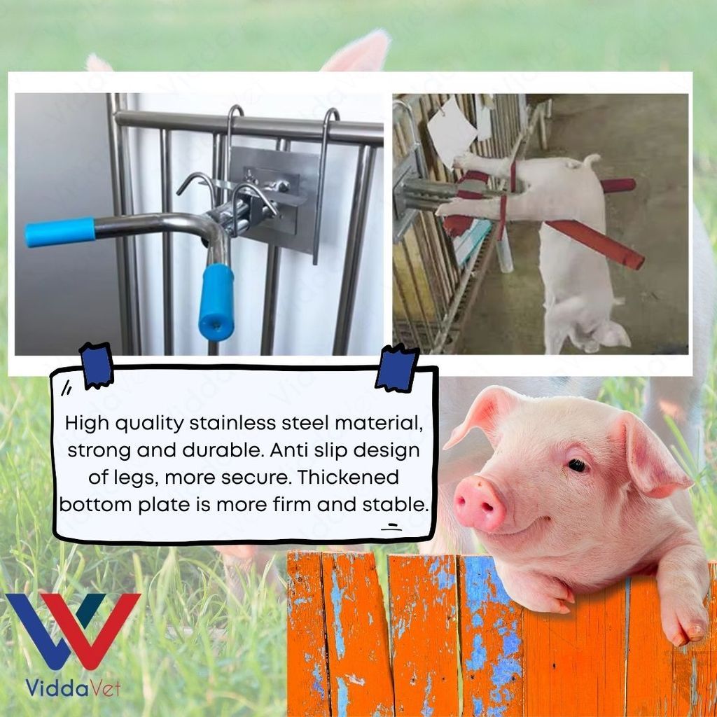 Large Animal Castration Hang Type Tool for Farmers Seeking Steady ...