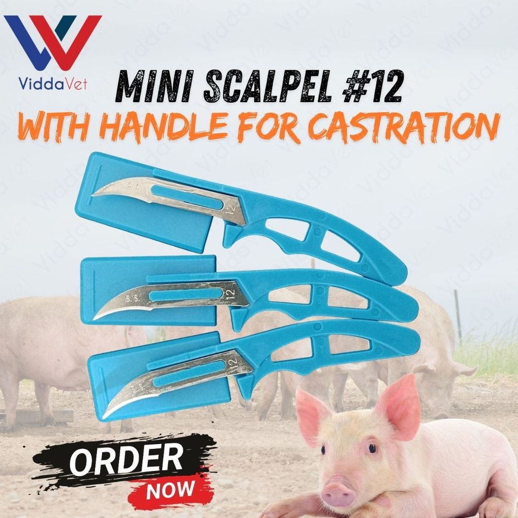 Mini Scalpel Number 12 with Handle 3pcs per Pack for Livestock Tasks ...