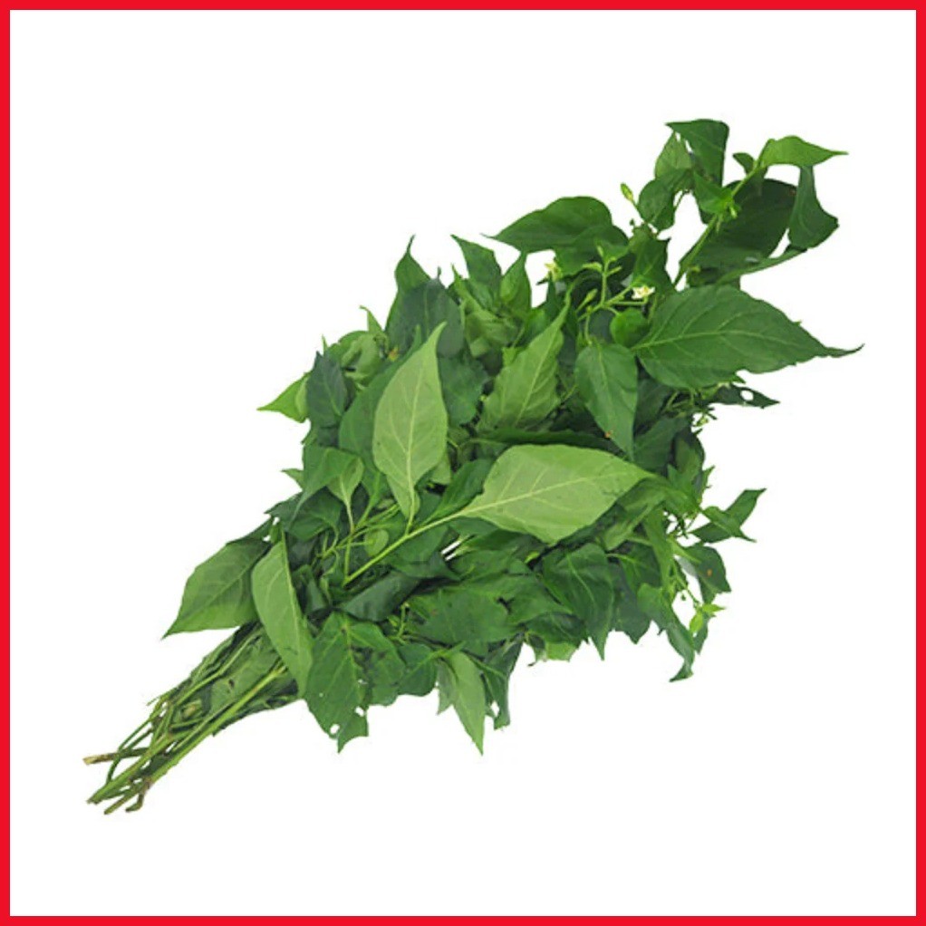 DAHON NG SILI HOT PEPPER SEEDS (40 SEEDS) | Shopee Philippines