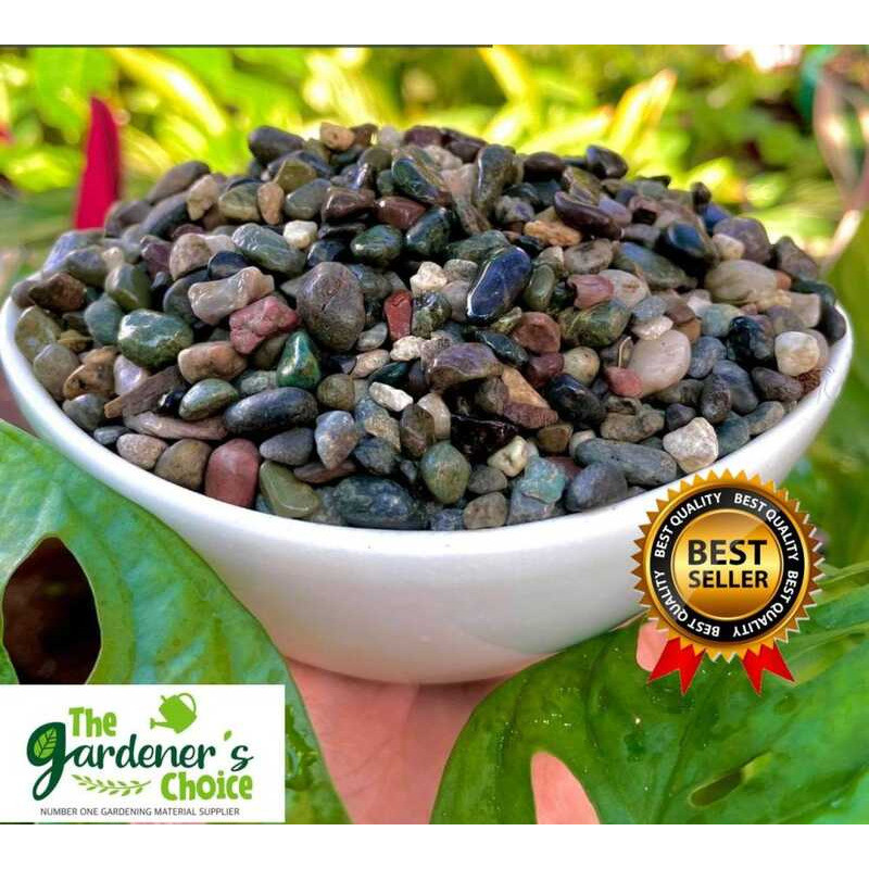Gardening Pebbles / Flooring ( Seven Colors ) | Natural Pebble Stone ...