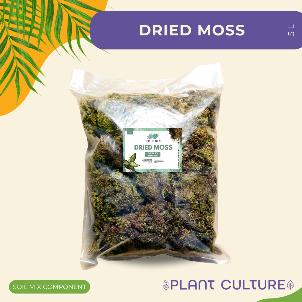 Dried Moss for Plants and Garden Use 5L | Shopee Philippines