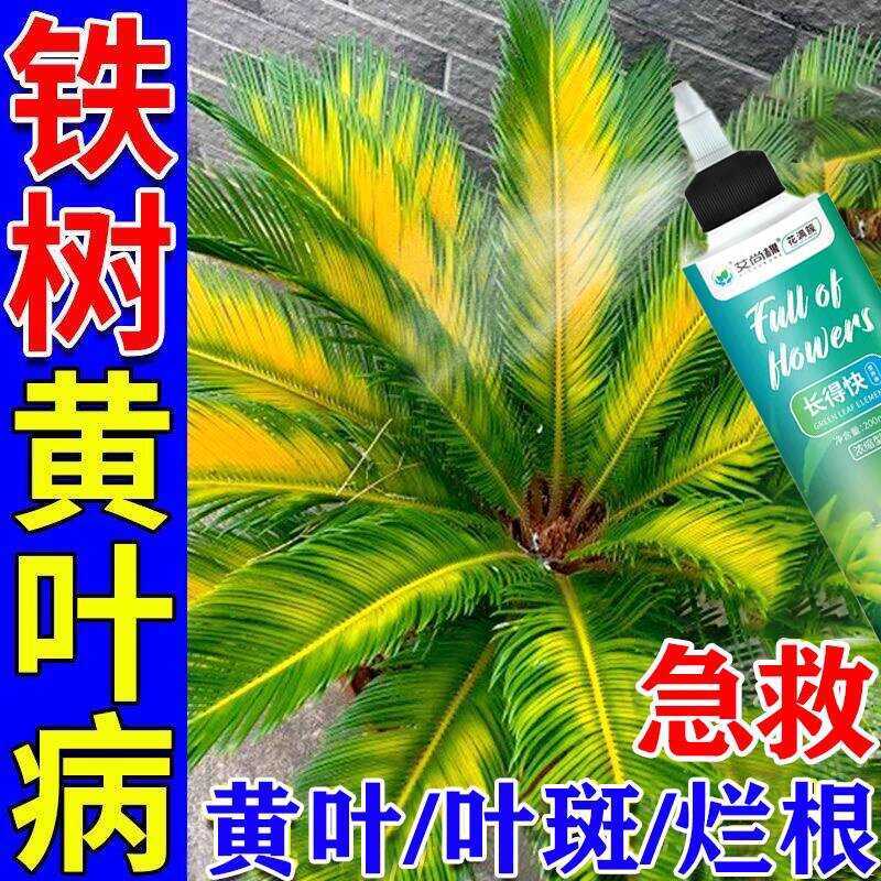 Special Nutrient for Iron Tree Yellowing and Root Rot Ferrous Sulfate ...
