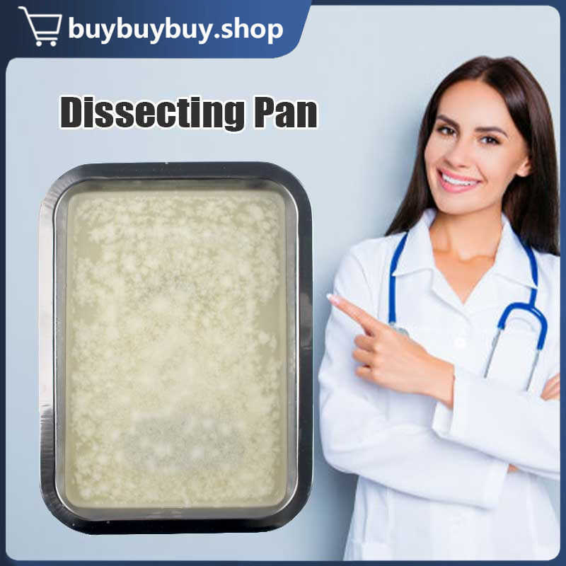 Stainless Steel Dissecting Pan With Wax For Laboratory - 19*26Cm ...