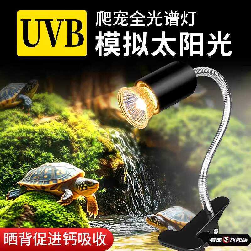 Winter Turtle Heating Basking Full Spectrum Tortoise Lizard Sun Bulb ...