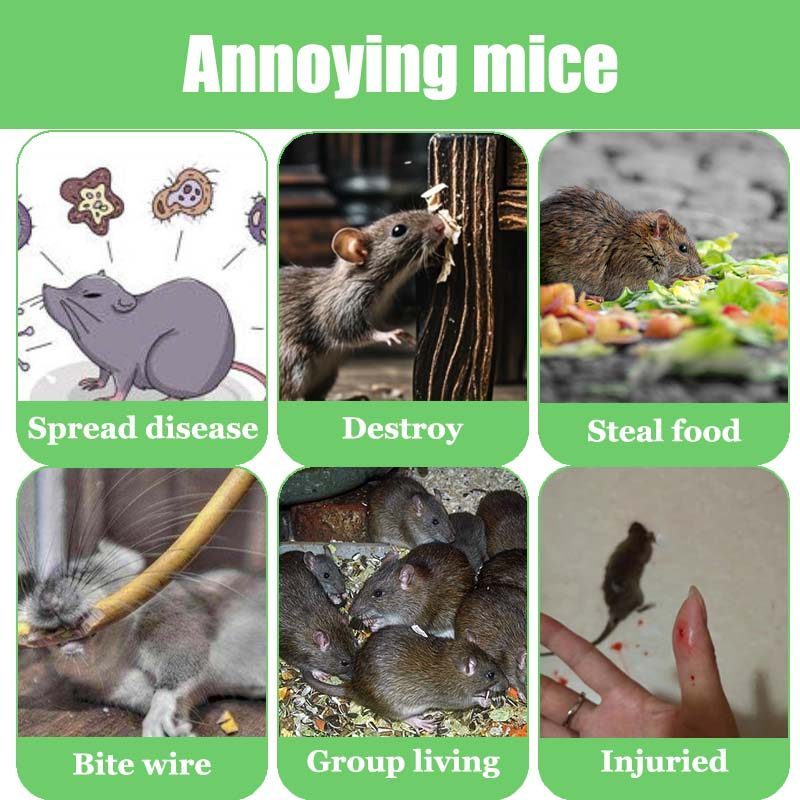 1000g Rats die outdoors dry and odorless rat killer poison rat poison ...
