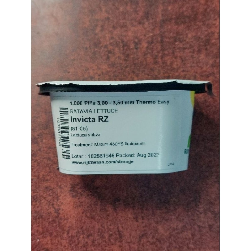 Invicta Rz (1000 pills) Batavia Lettuce by RIJK ZWAAN | Shopee Philippines