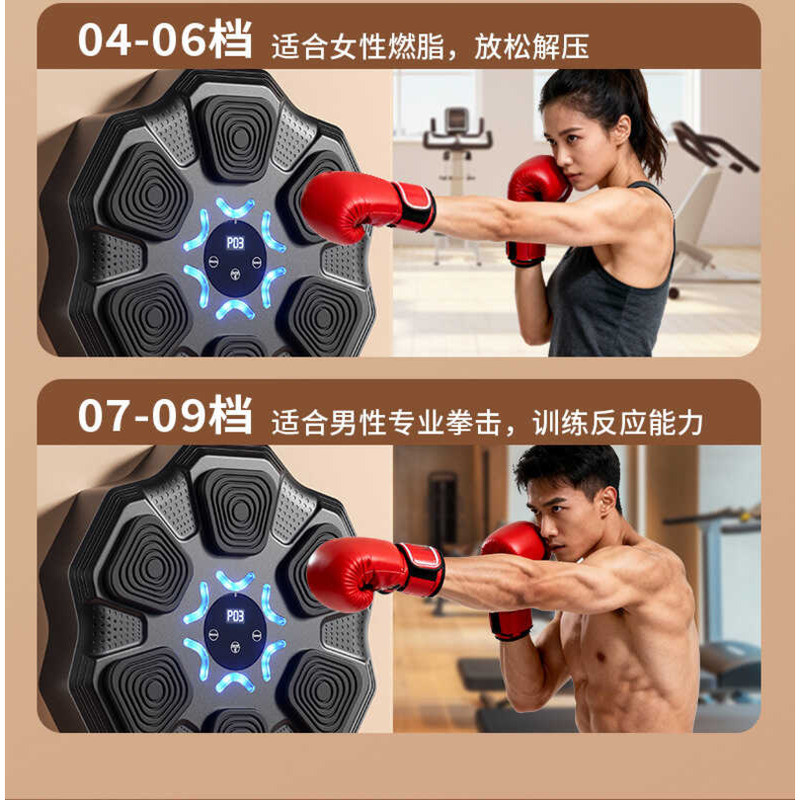 shopee Smart Music Punching Bag For Kids With Light Rhythm Electronic ...